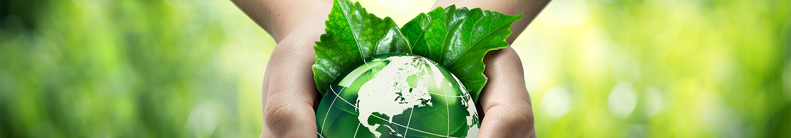 Environment PPTs & Documents | Slideshare